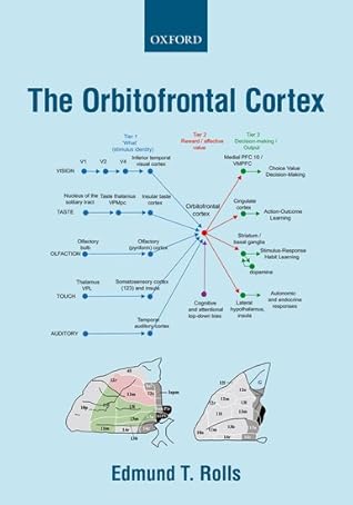 The Orbitofrontal Cortex by Edmund Rolls