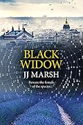 DI Beatrice Stubbs Series by J.J. Marsh