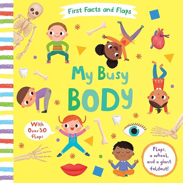 My Busy Body by Barbara Taylor
