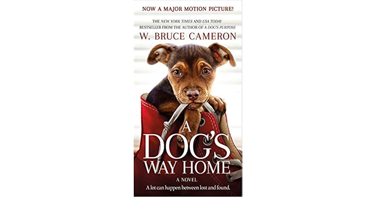 A Dog's Way Home by W. Bruce Cameron