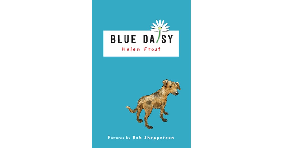 Blue Daisy by Helen Frost