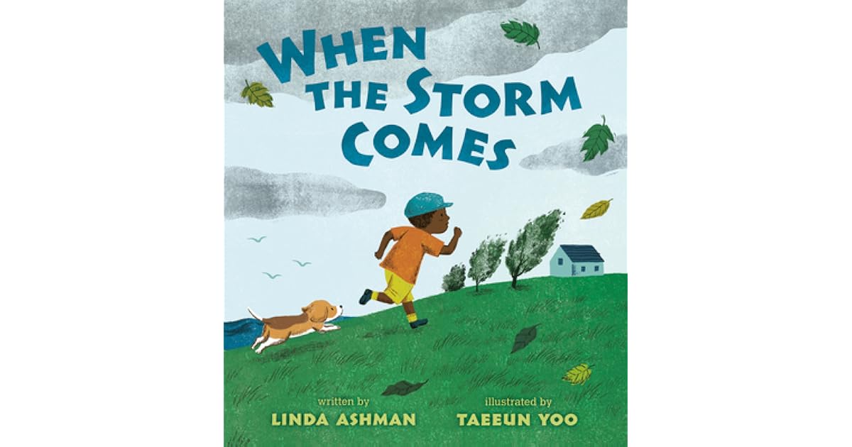 When the Storm Comes by Linda Ashman