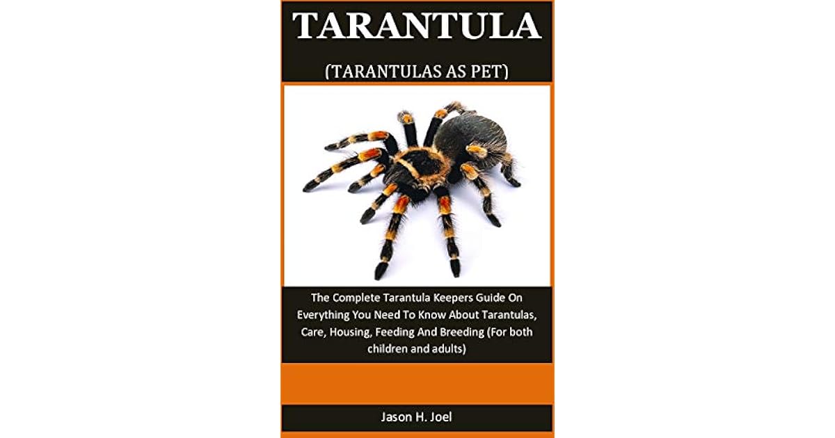 Tarantula As Pet: The Complete Tarantula Keepers Guide On Everything ...
