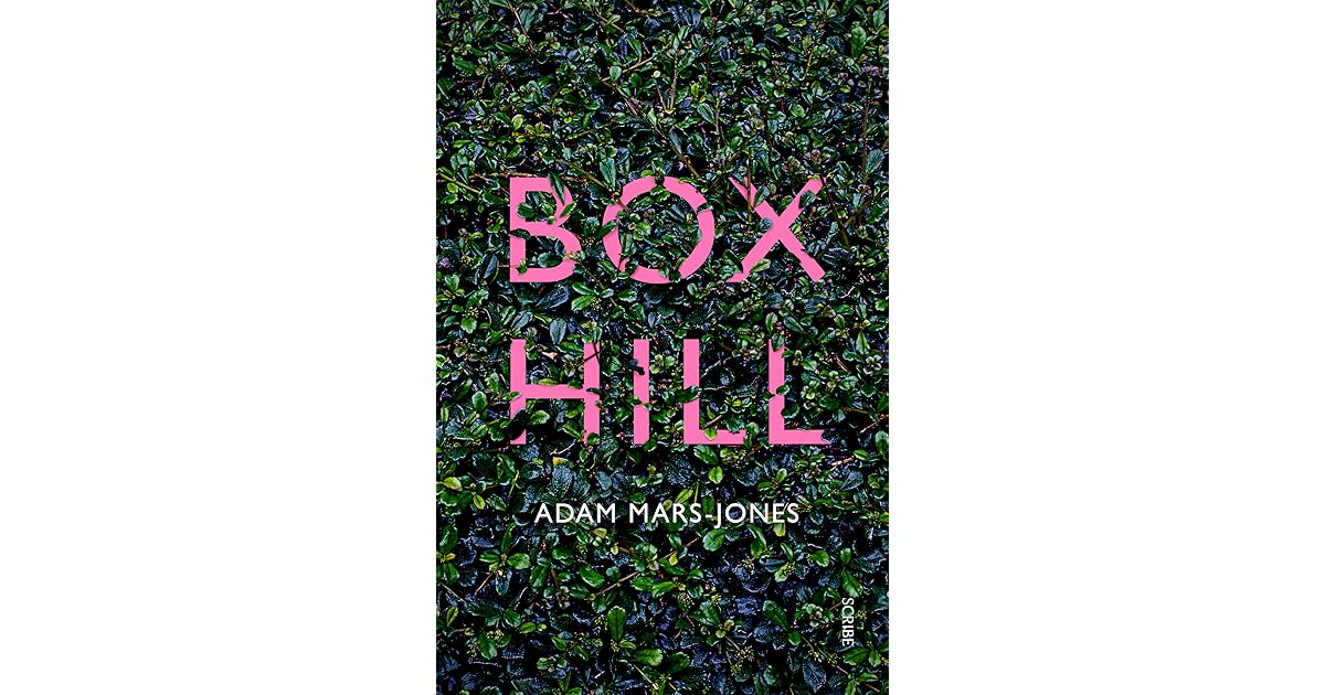 Box Hill by Adam Mars-Jones