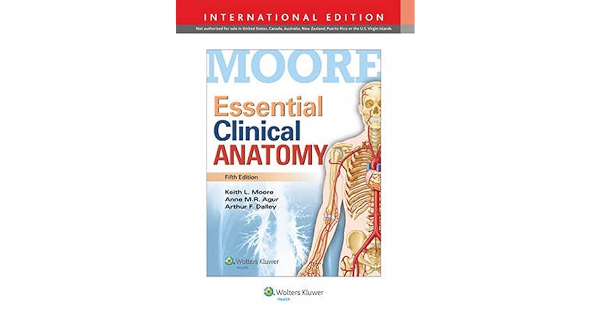 Essential Clinical Anatomy by Keith L. Moore