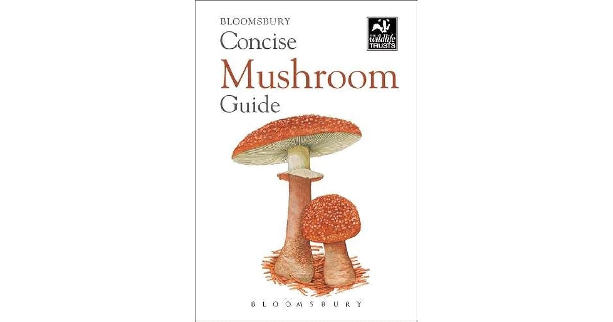 Concise Mushroom Guide by Bloomsbury Publishing