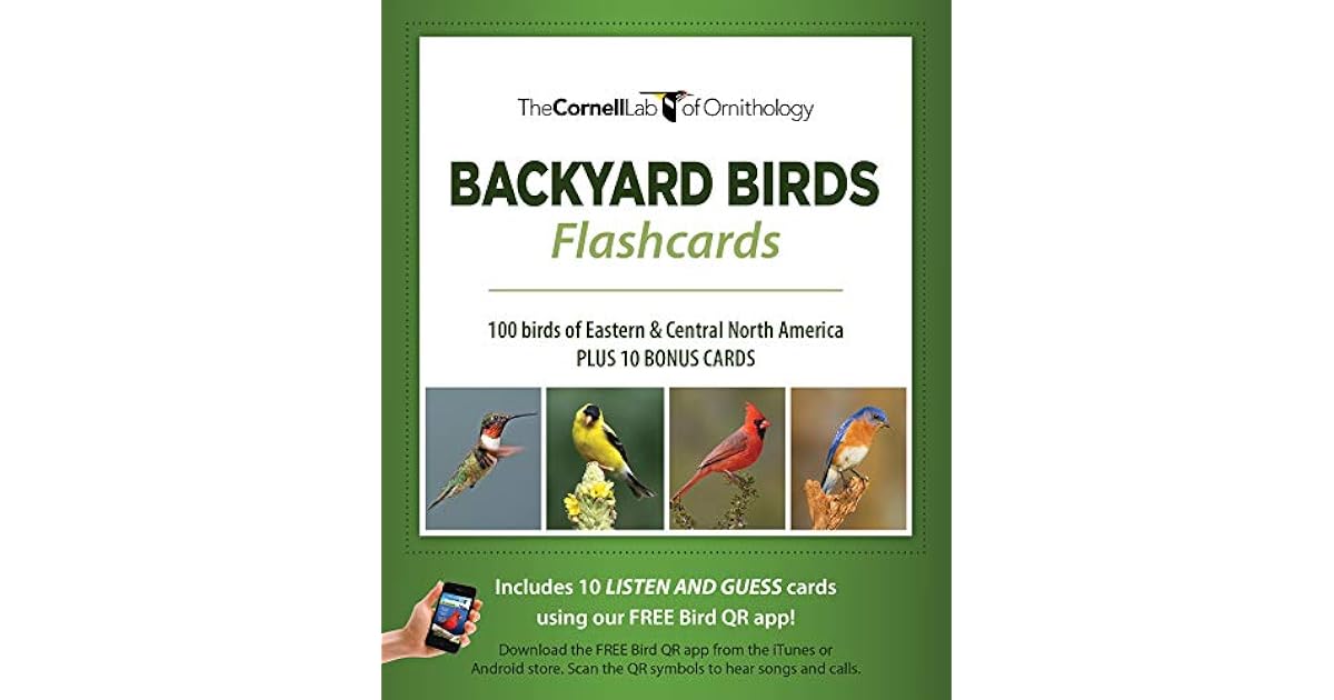 Backyard Birds Flash Cards - Eastern & Central North America by Cornell ...