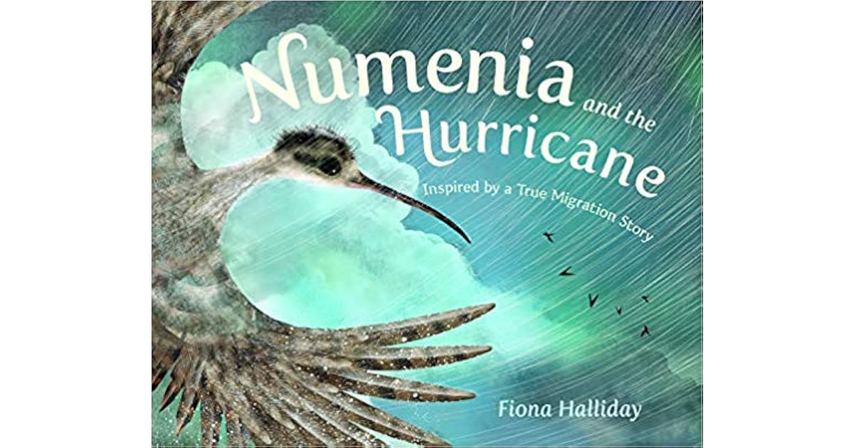 Numenia and the Hurricane: Inspired by a True Migration Story by Fiona ...
