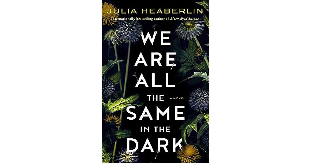 We Are All the Same in the Dark by Julia Heaberlin
