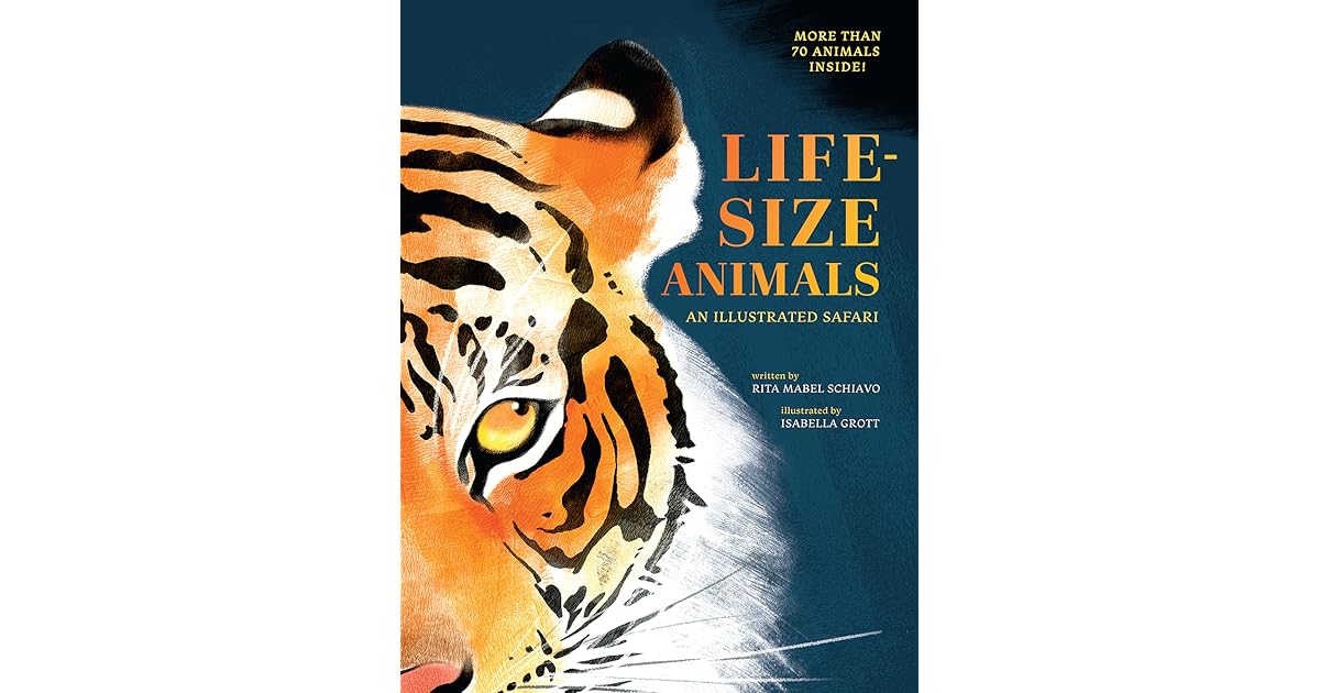Life-Size Animals: An Illustrated Safari by Riva M Schiavo