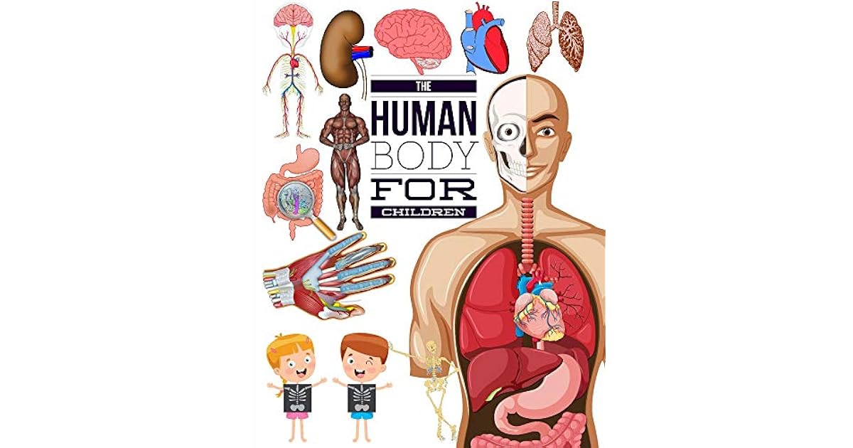 The Human Body for Children: My first interactive human body for kids ...