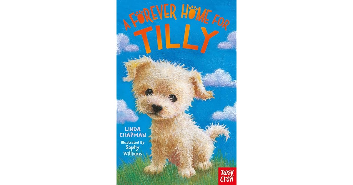 A Forever Home for Tilly (Forever Homes Book 1) by Linda Chapman