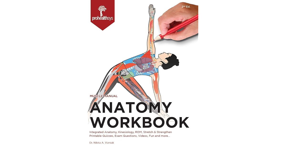 Muscle Manual Anatomy Workbook by Nikita A. Vizniak
