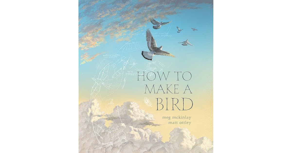 How to Make a Bird by Meg McKinlay