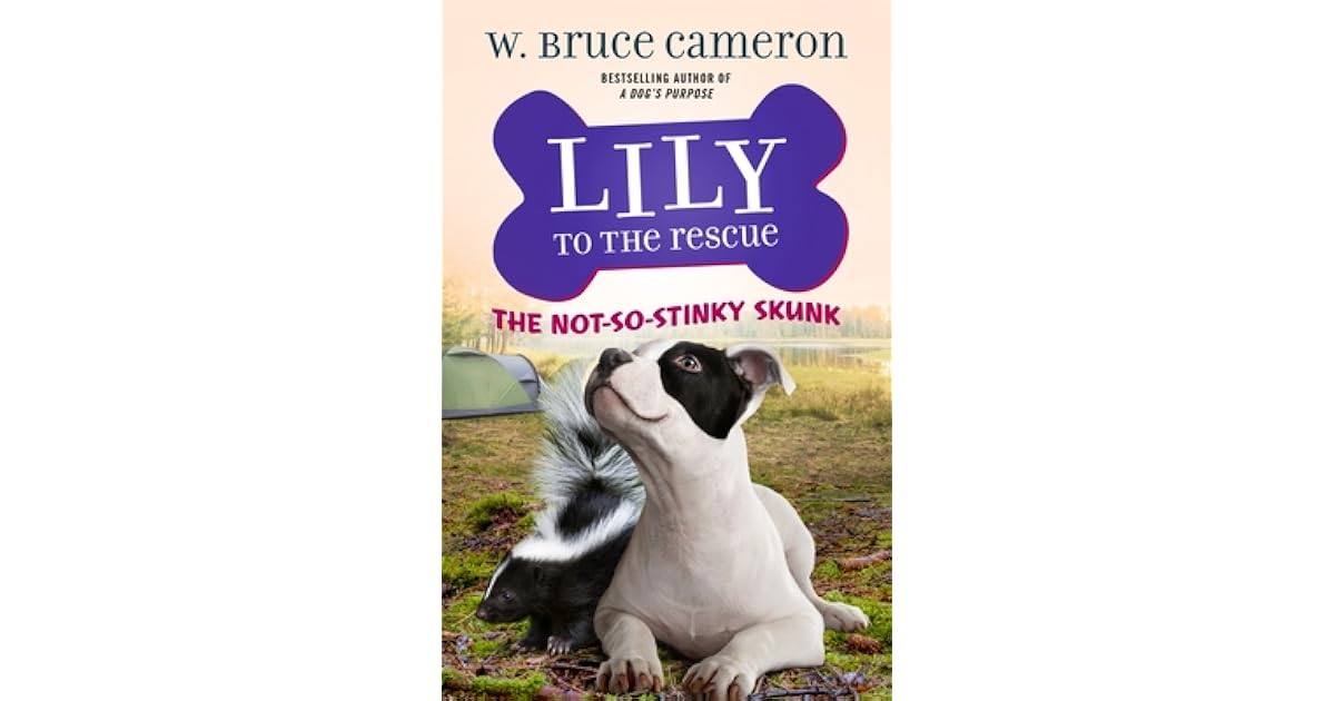 Lily to the Rescue: The Not-So-Stinky Skunk by W. Bruce Cameron