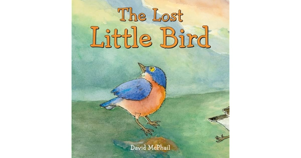 The Lost Little Bird by David McPhail