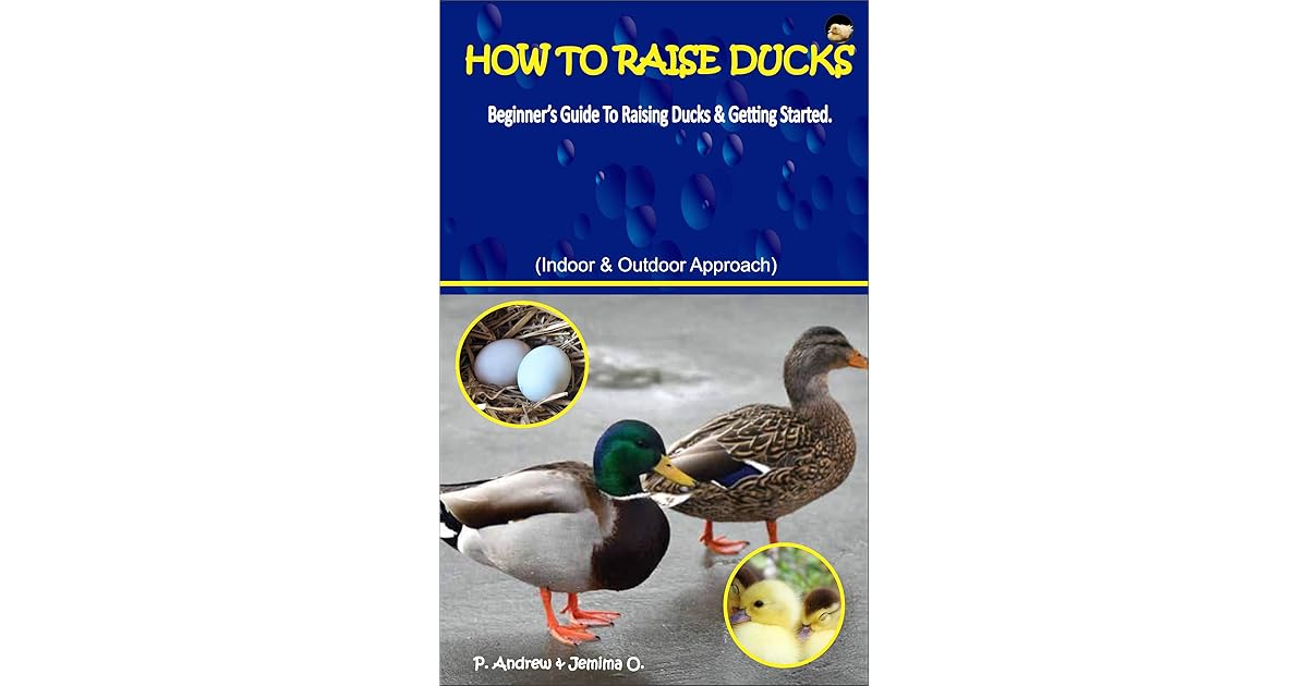 How To Raise Ducks.: Beginner’s Guide To Raising Ducks & Getting ...