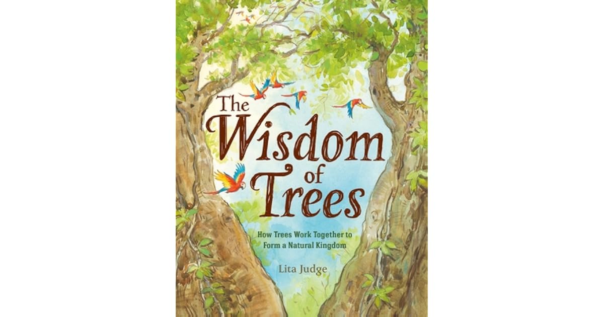The Wisdom of Trees: How Trees Work Together to Form a Natural Kingdom ...