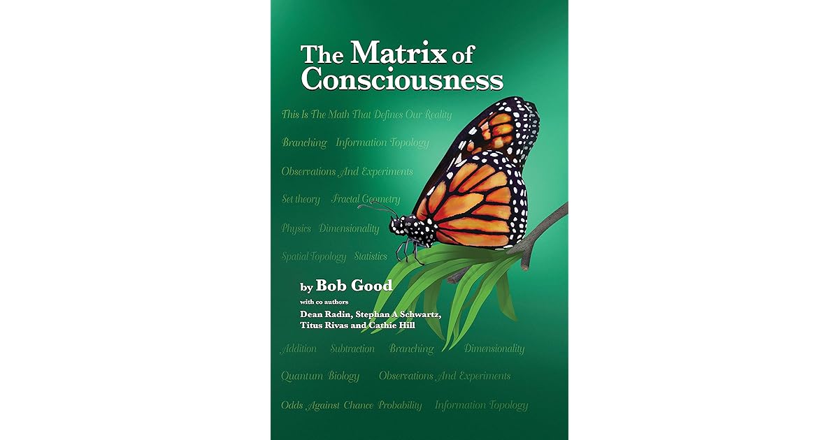 The Matrix of Consciousness by Bob Good