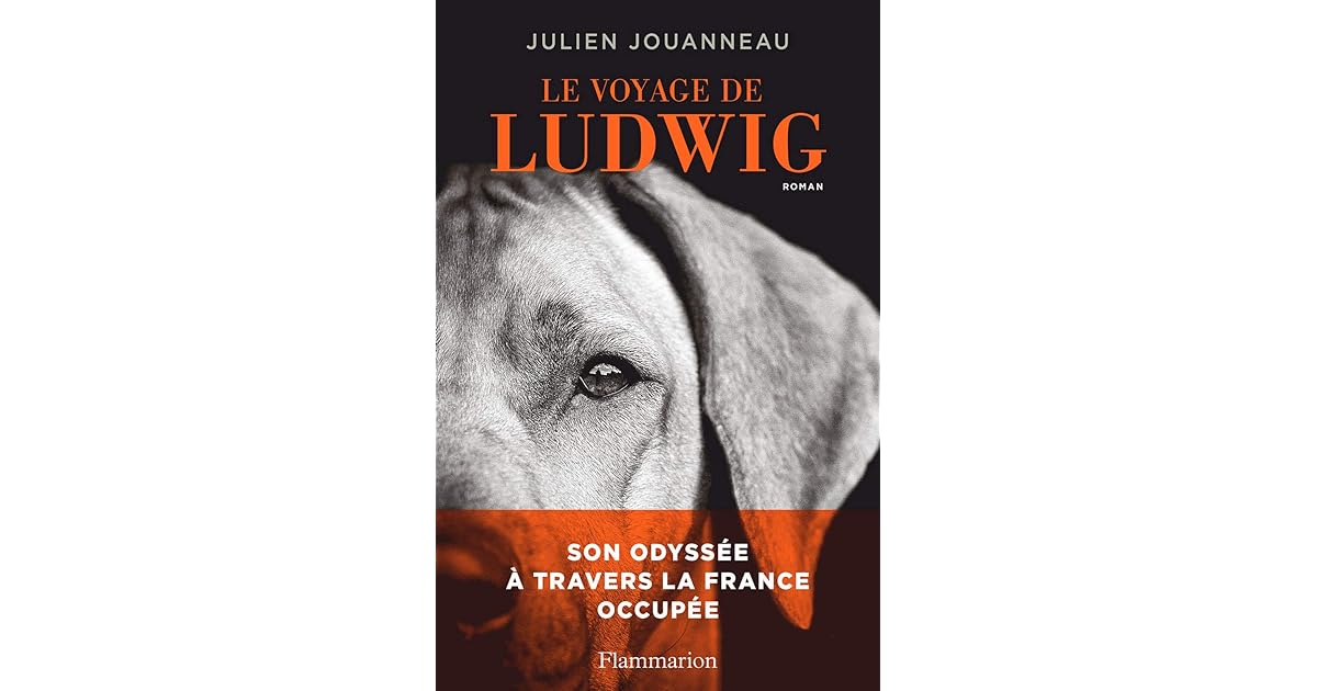 Le voyage de Ludwig by Julien Jouanneau