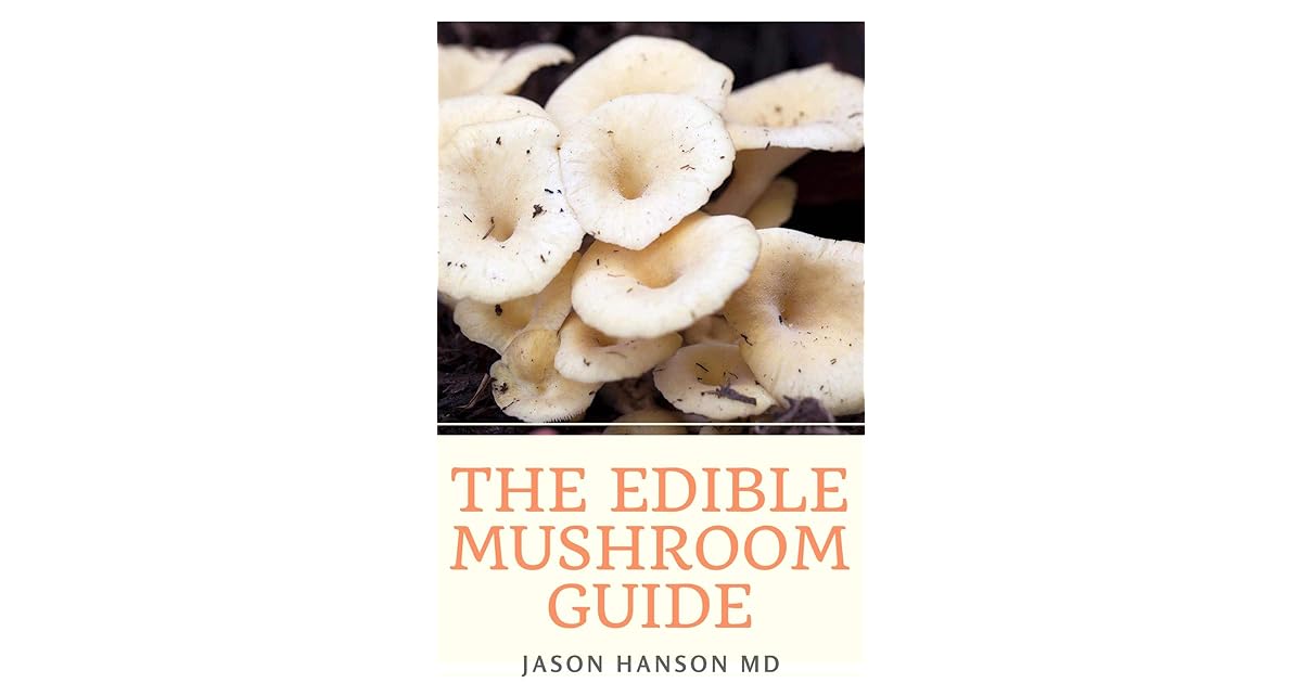 THE EDIBLE MUSHROOM GUIDE: All You Need To Know About Edible Mushroom ...
