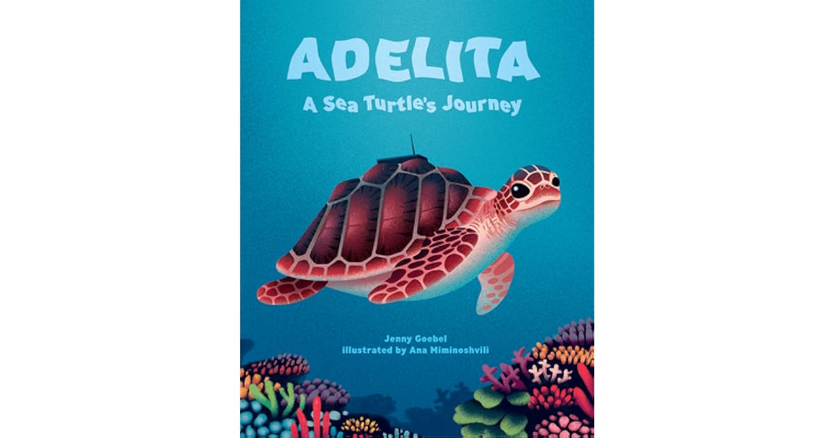 Adelita, a Sea Turtle's Journey by Jenny Goebel