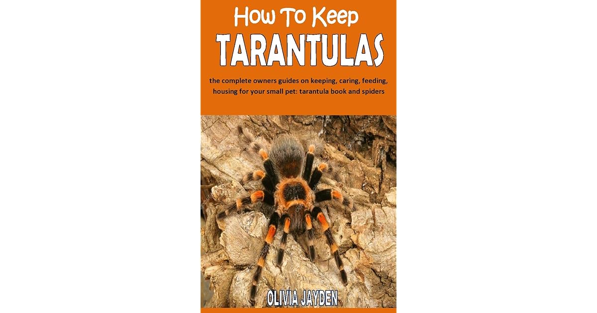 HOW TO KEEP TARANTULAS: the complete owners guides on keeping, caring ...