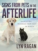 Signs From Pets In The Afterlife: Identifying Messages From Pets in ...
