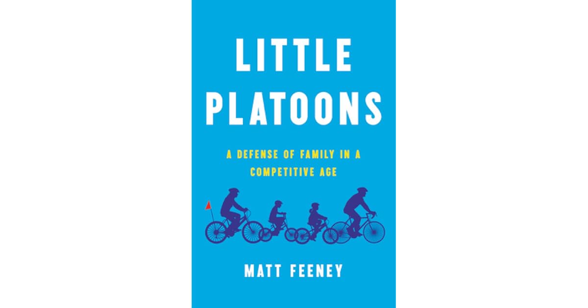 Little Platoons: A Defense of Family in a Competitive Age by Matt Feeney