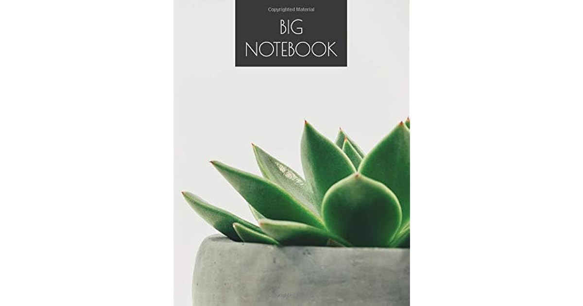 Big Notebook: Extra Large Giant Notebook, 500 College Ruled Pages, 8.5 ...