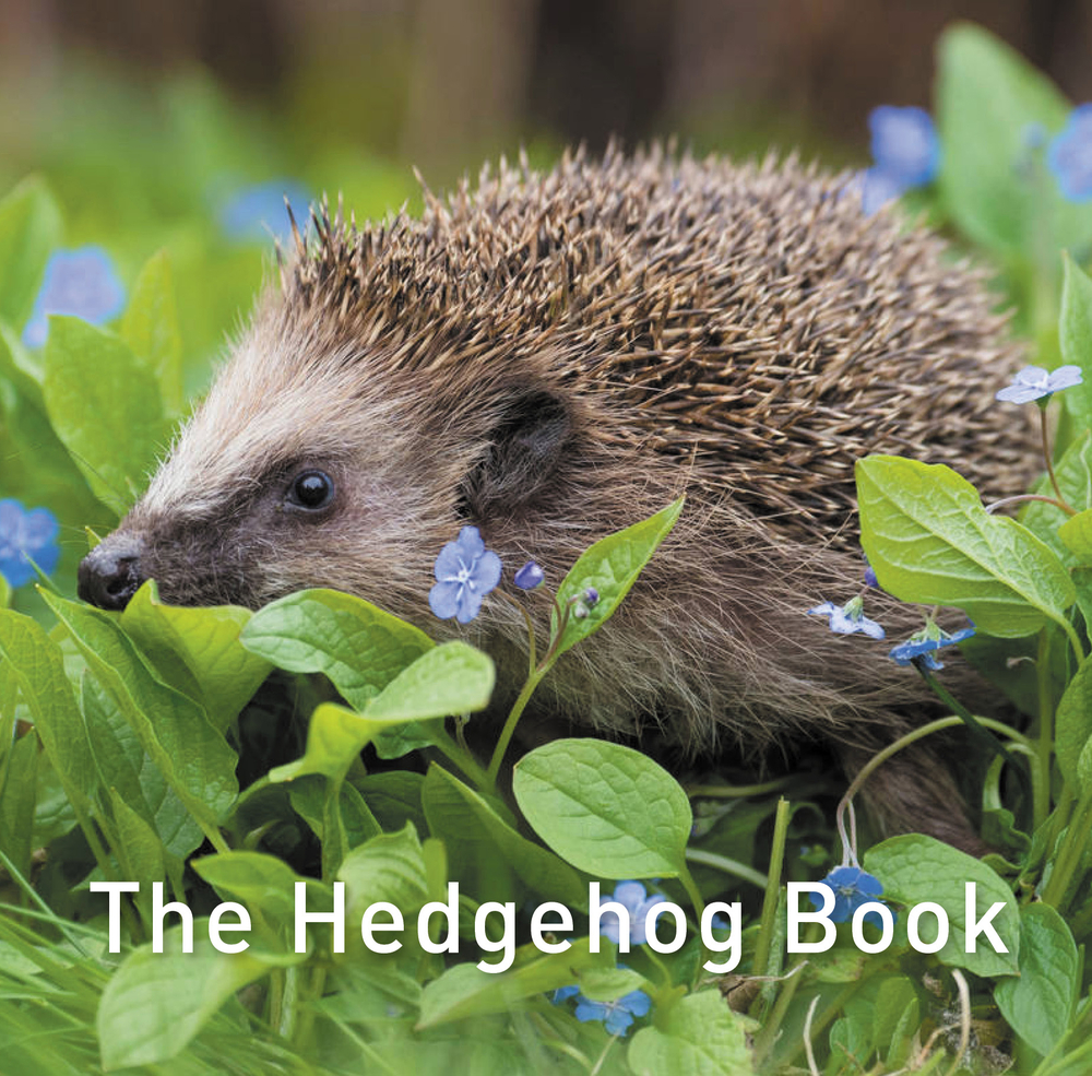 (Download) PDF The Hedgehog Book BY Hugh Warwick | Read Aloud | GM Binder