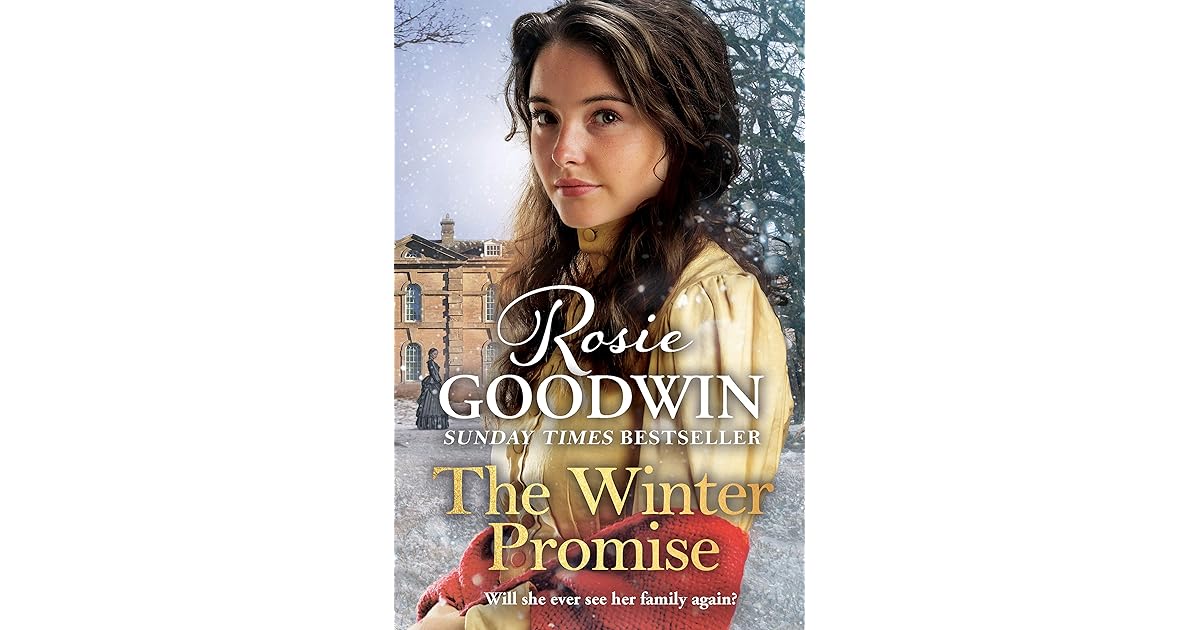 The Winter Promise by Rosie Goodwin