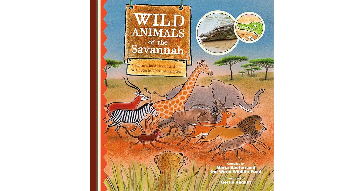 Wild Animals of the Savannah, A Picture Book about Animals with Stories ...