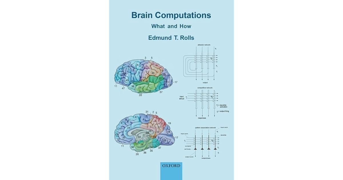 Brain Computations: What and How by Edmund Rolls