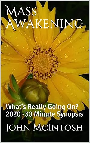 Mass Awakening: What’s Really Going On? 2020 -30 Minute Synopsis by ...