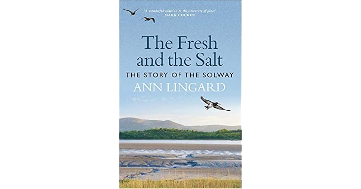The Fresh and the Salt: The Sory of the Solway by Ann Lingard