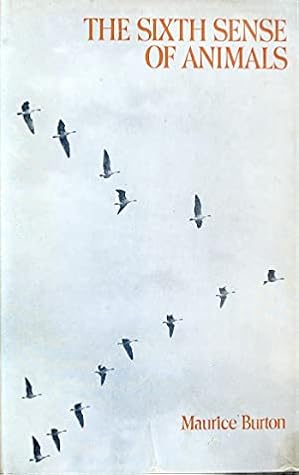 The Sixth Sense of Animals by Maurice Burton