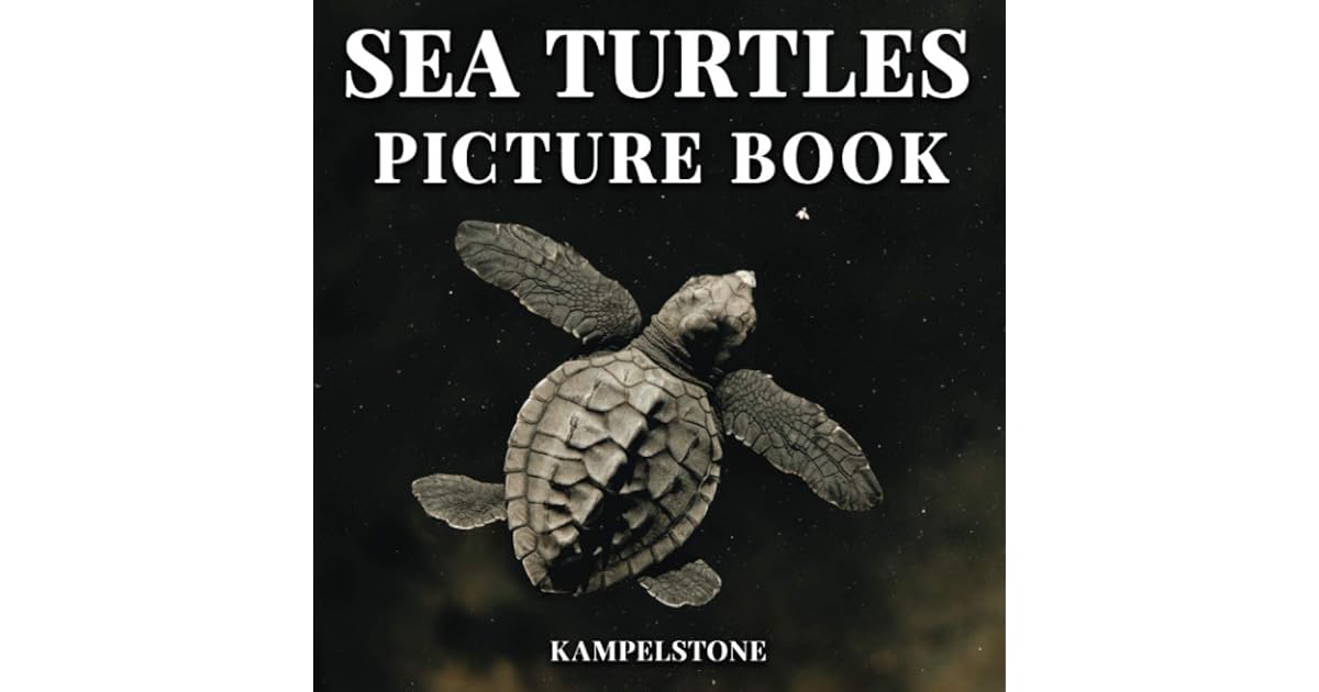Sea Turtles Picture Book: 100 Images of these Cute Sea Creatures ...