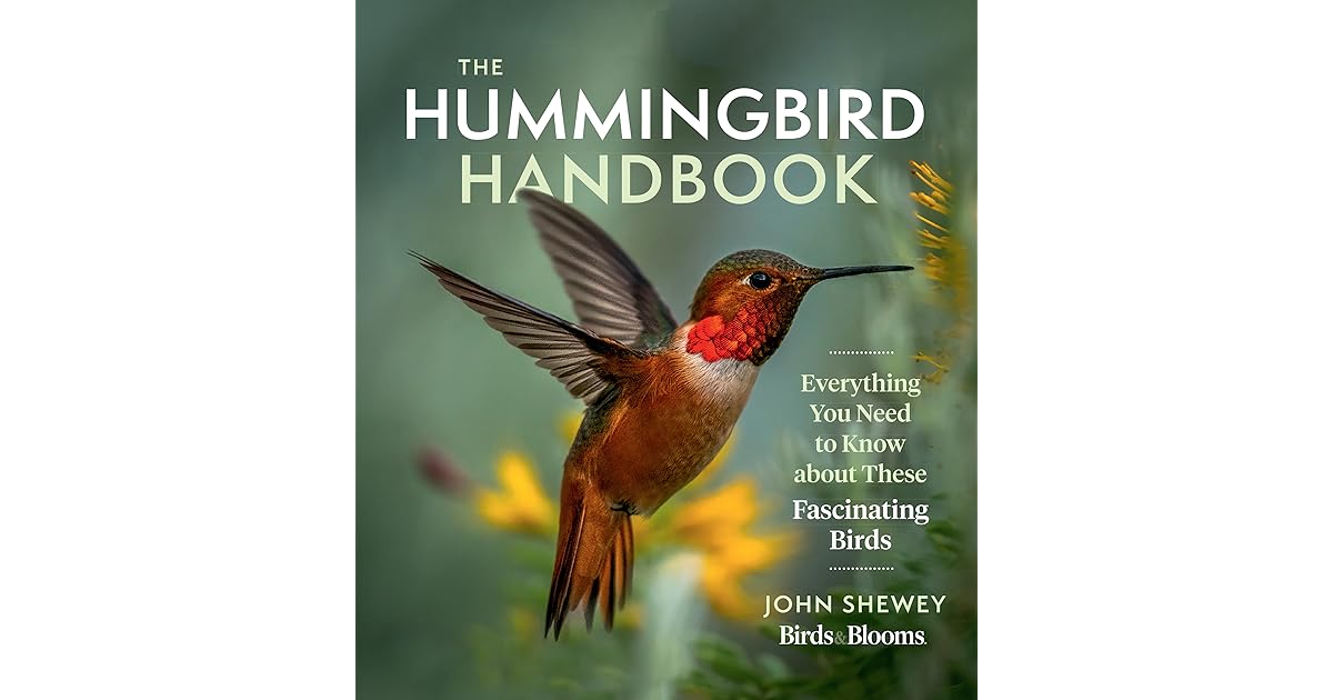 The Hummingbird Handbook: Everything You Need to Know about These ...