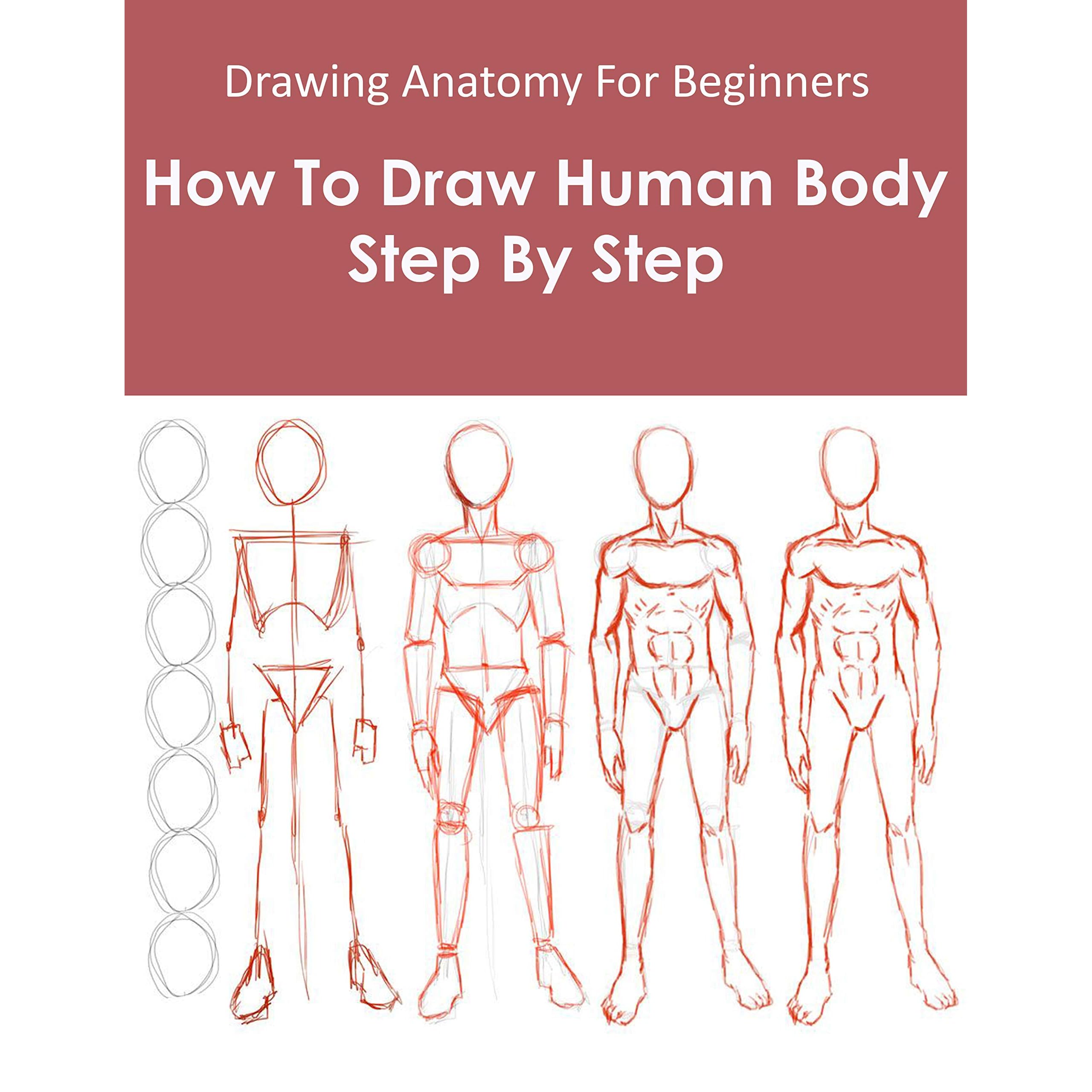 How To Draw A Body Step By Step Proportions And Form How To Draw The 
