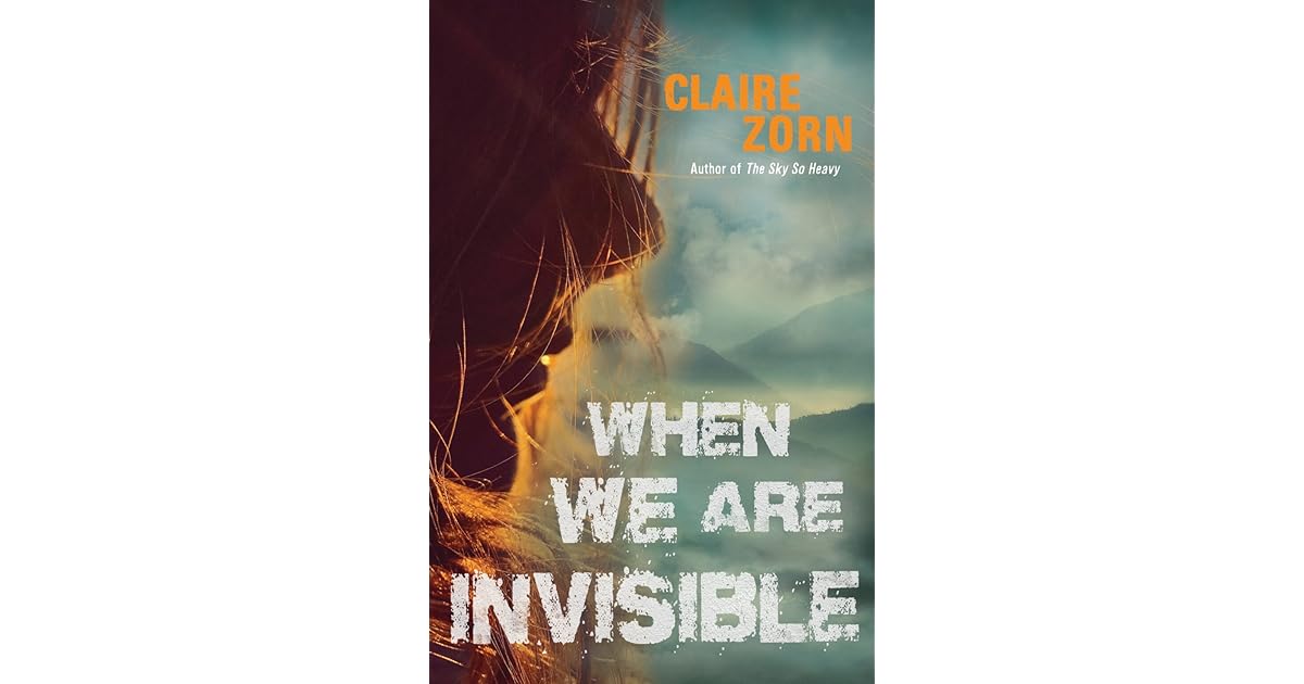 When We Are Invisible (The Sky So Heavy, #2) by Claire Zorn