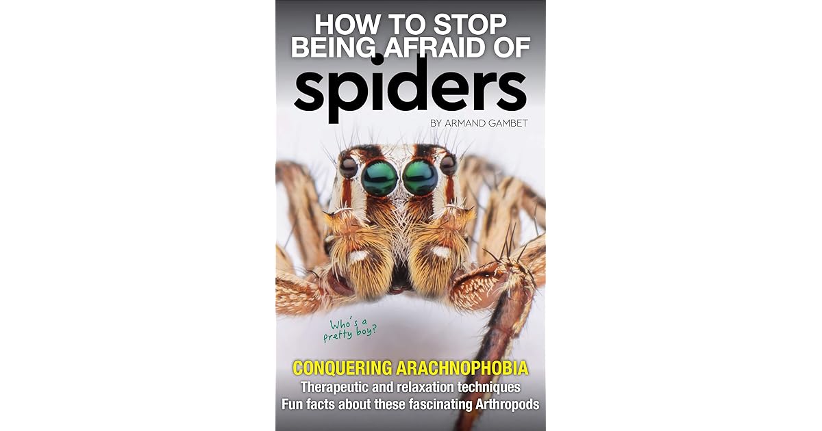How to Stop Beig Afraid of Spiders: Conquering arachnophobia ...