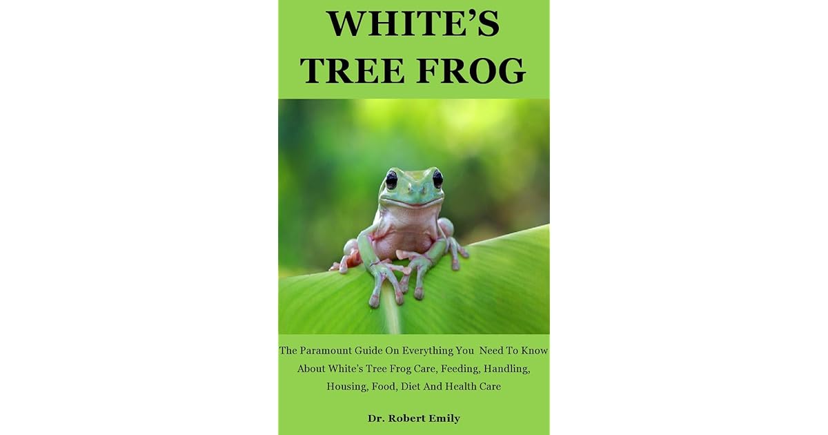 White's Tree Frog: The Paramount Guide On Everything You Need To Know ...