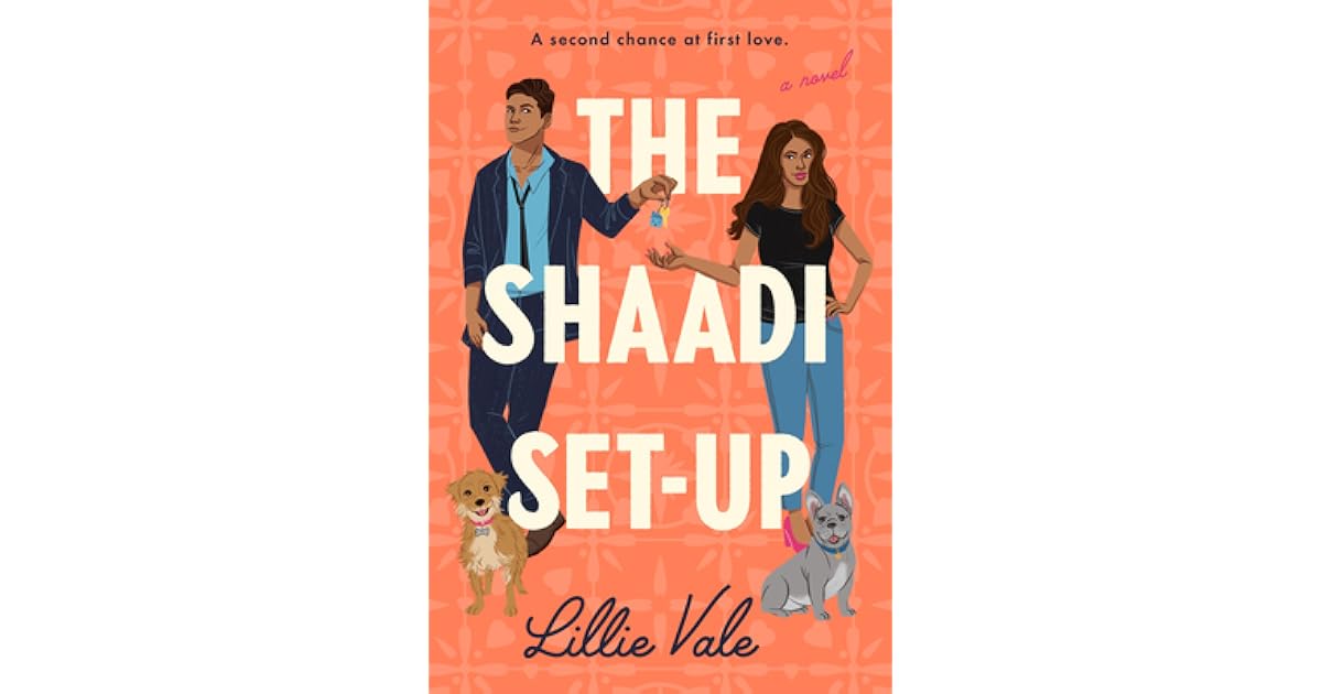 The Shaadi Set-Up by Lillie Vale