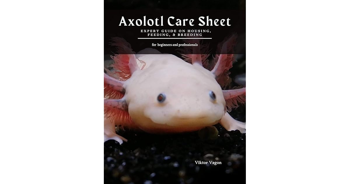 Axolotl Care Sheet: Expert Guide on Housing, Feeding, & Breeding by ...