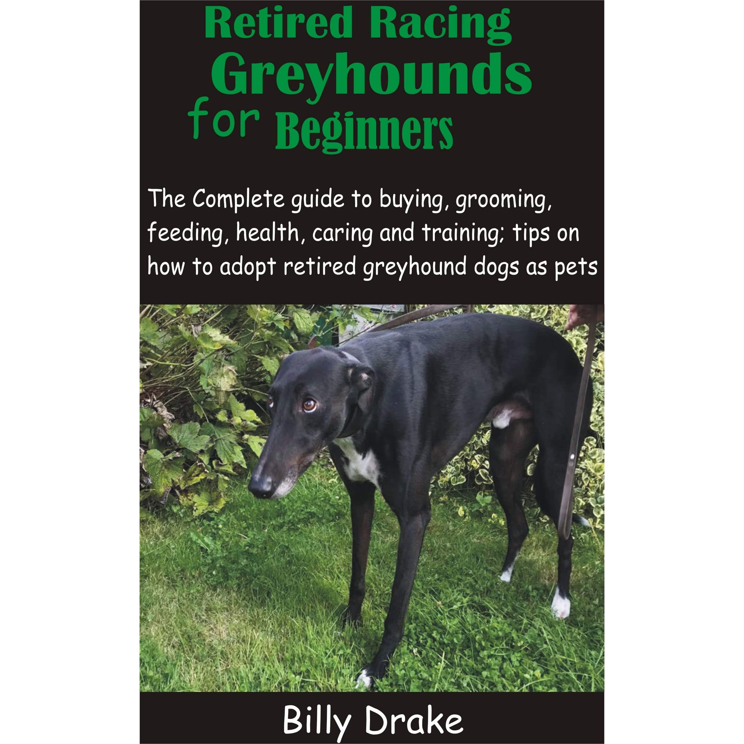 Why Is Dog Racing Bad