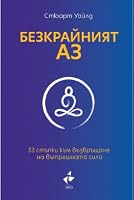 Infinite Self: 33 Steps to Reclaiming Your Inner Power by Stuart Wilde