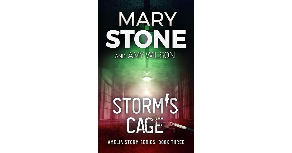 Storm's Cage (Amelia Storm #3) by Mary Stone