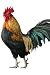 Beware of Chicken: A Xianxia Cultivation Novel by CasualFarmer