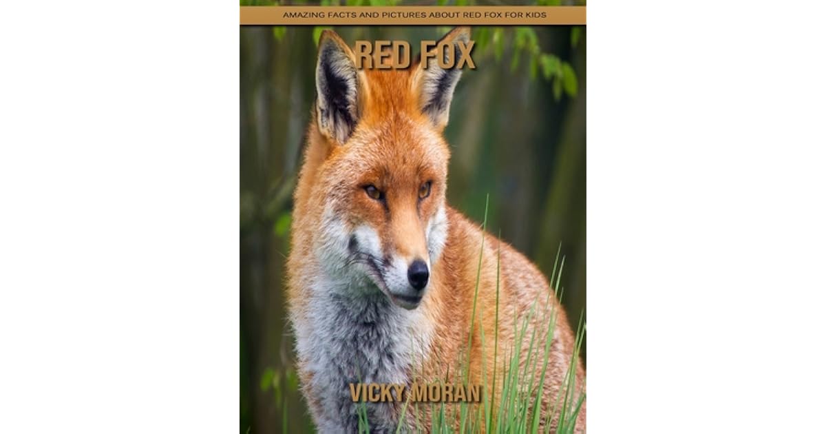 Red Fox: Amazing Facts and Pictures about Red Fox for Kids by Vicky Moran